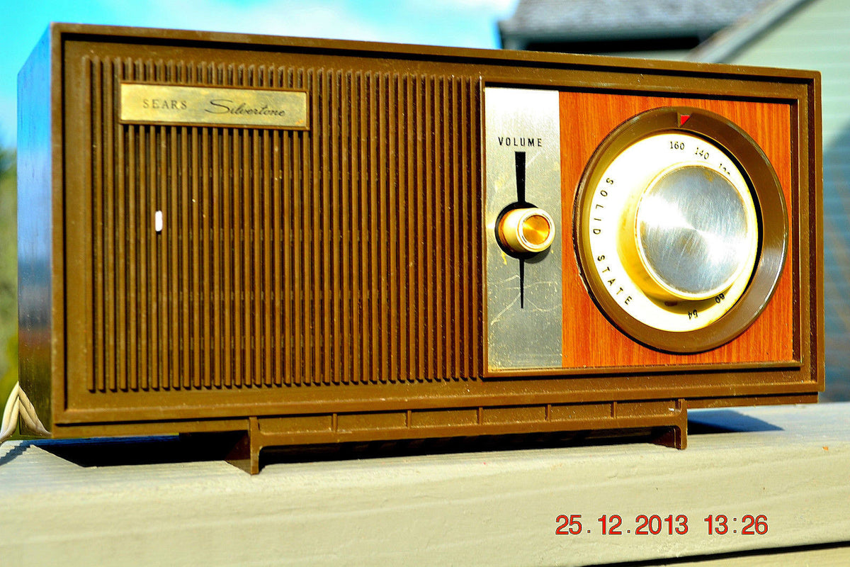 SOLD! - March 20, 2014 - RETRO Modern Fugly 1960's Silvertone Model ...